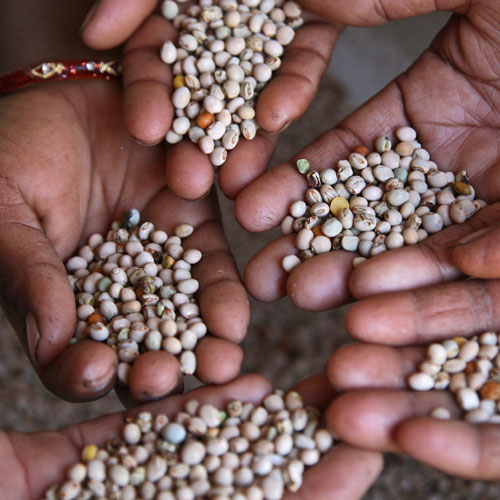 Open Data for Official Statistics Resource Guide – Open Data Watch