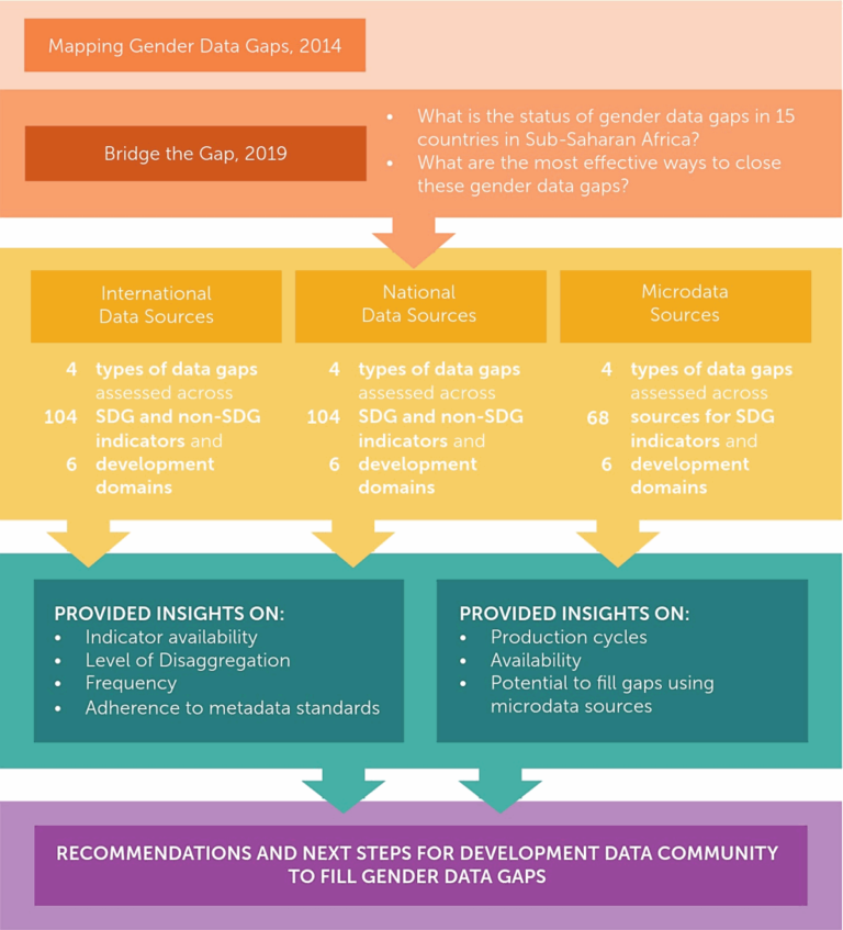 Bridging Gender Data Gaps in Africa – Open Data Watch