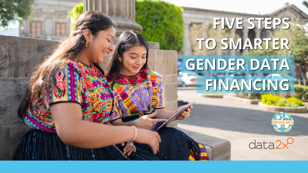 Five Steps to Smarter Gender Data Financing – Open Data Watch