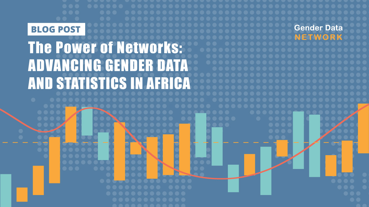 The Power of Networks: Gender Data in Africa – Open Data Watch