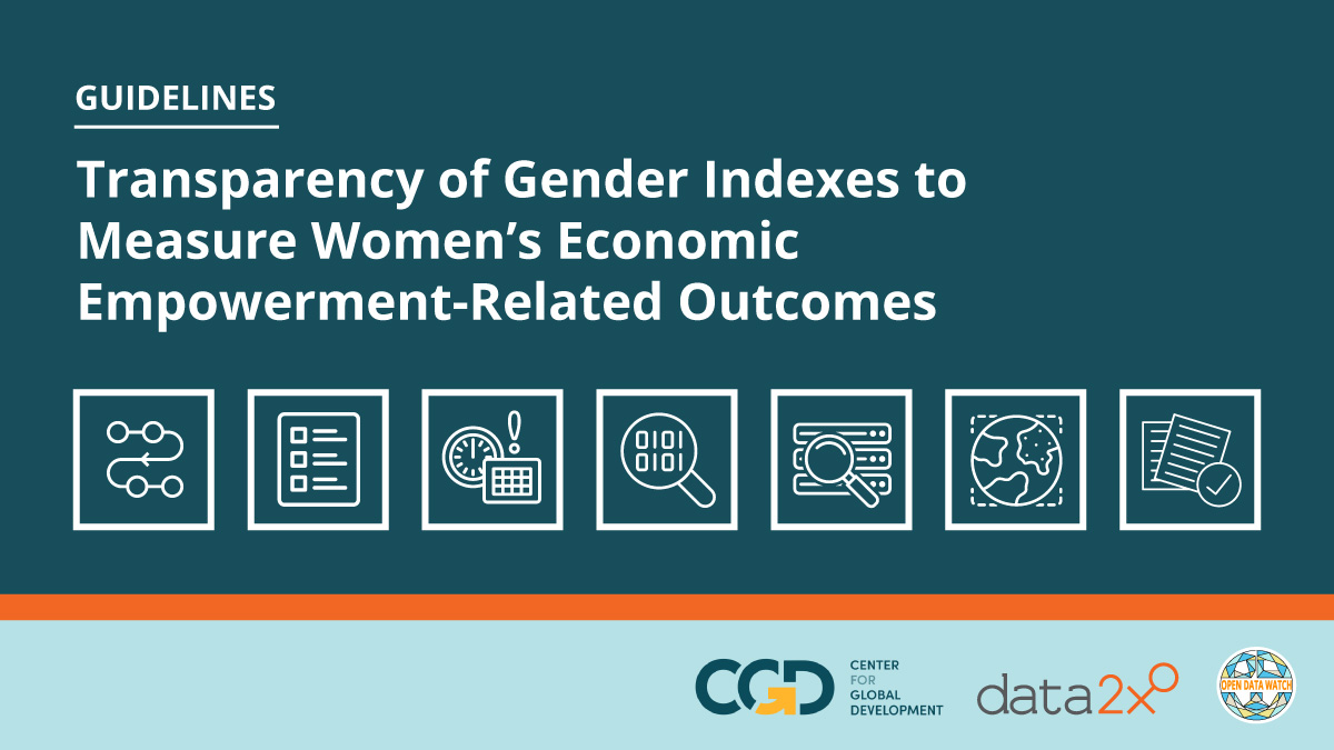 Women’s Economic Empowerment Transparency Guidelines – Open Data Watch
