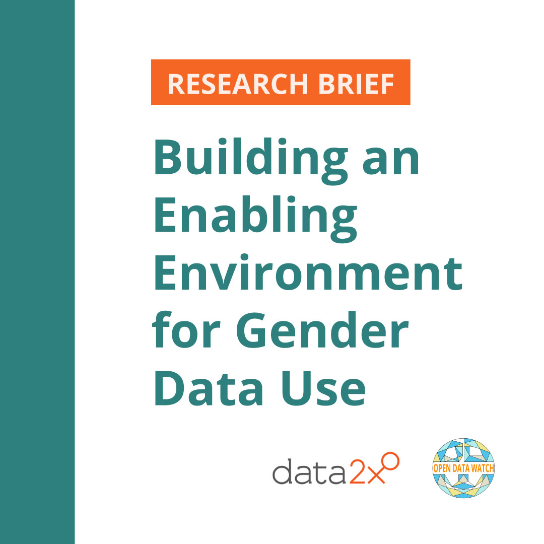 Building an Enabling Environment for Gender Data Use – Open Data Watch