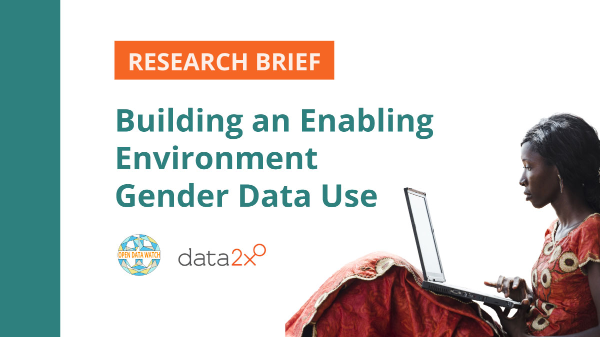 Building an Enabling Environment for Gender Data Use – Open Data Watch